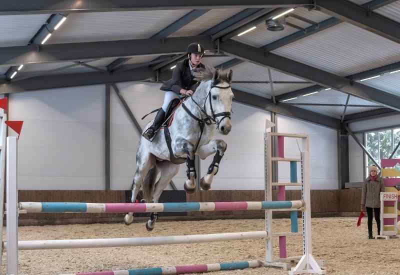 איוונטינג - eventing - המרכז לביטוח חיות מחמד - סגנונות רכיבה על סוסים 🏇